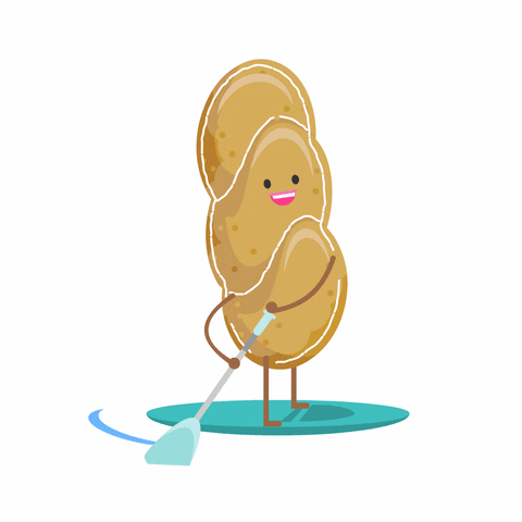 Stand Up Paddle Board GIFs - Get the best GIF on GIPHY