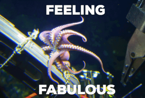 Marine Bio GIFs - Get the best GIF on GIPHY