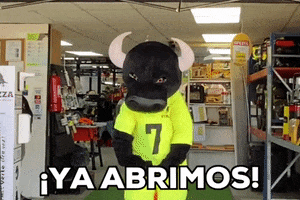 Maestro Forzza GIFs on GIPHY - Be Animated