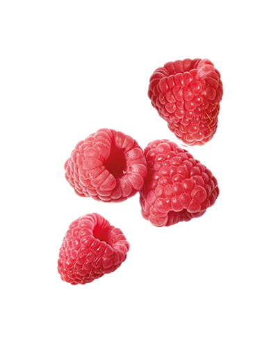 Fruit Raspberry Sticker by IMA - Influencer Marketing Agency for iOS ...