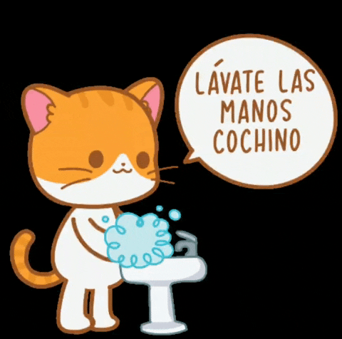 Cat GIF - Find & Share on GIPHY