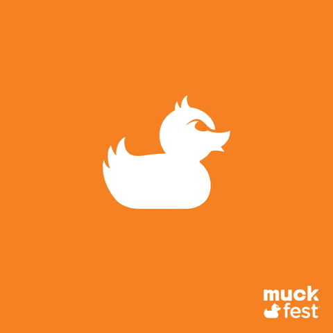 Obstacle Course Racing GIFs - Find & Share on GIPHY