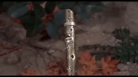 Magic Talking Instrument GIFs - Get the best GIF on GIPHY