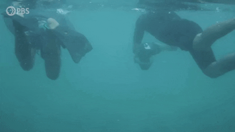 Climate Change Swimming GIF by PBS Digital Studios - Find & Share on GIPHY