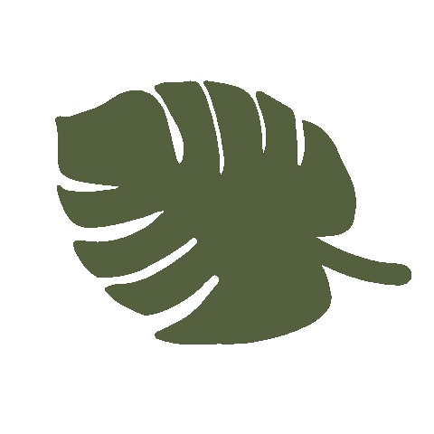 Palm Leaf Sticker for iOS & Android | GIPHY
