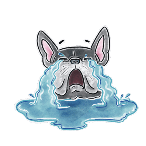 Crying French Bulldog