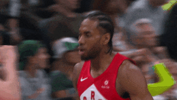 Toronto Raptors Support GIF by NBA - Find & Share on GIPHY