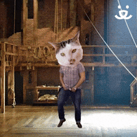 Cat-gods GIFs - Get the best GIF on GIPHY