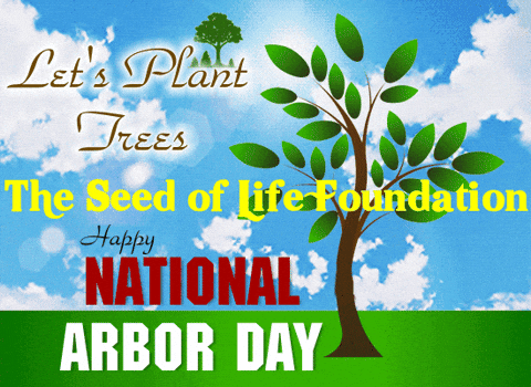 National Arbor Day GIFs - Get the best GIF on GIPHY