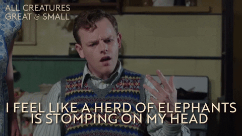 I-feel-small GIFs - Get the best GIF on GIPHY