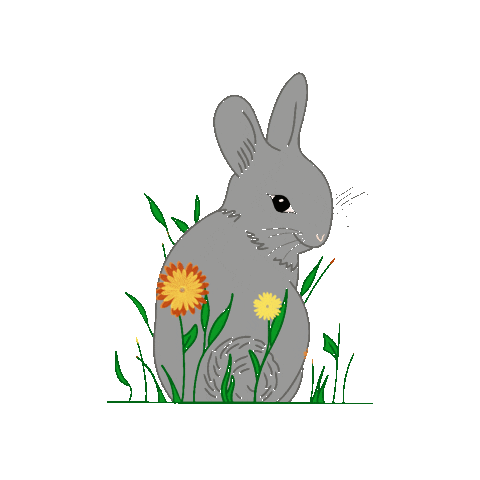 Bunny Hopping Animated Gif