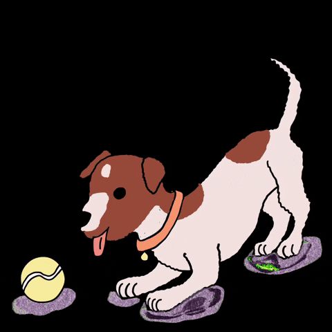 Lagotto Romagnolo GIFs on GIPHY - Be Animated