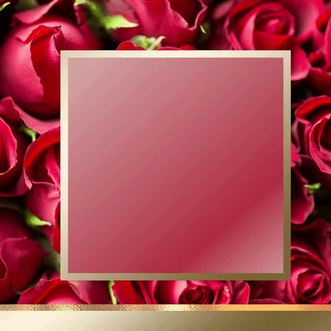 Ravishing-smile GIFs - Get the best GIF on GIPHY