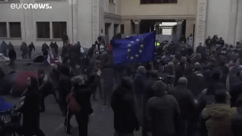 Protest GIF by euronews - Find & Share on GIPHY