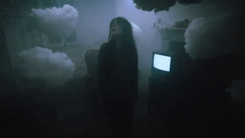 Primrose GIFs - Get the best GIF on GIPHY