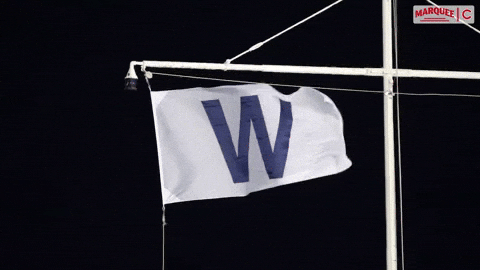 Chicago Cubs GIF by Marquee Sports Network - Find & Share on GIPHY