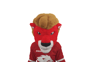 Yeo by York University | GIPHY