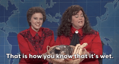 Snl GIF by Saturday Night Live - Find & Share on GIPHY