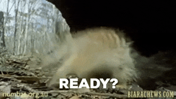 Lets Roll GIFs - Find & Share on GIPHY