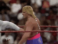 Owen Hart Fall Gif