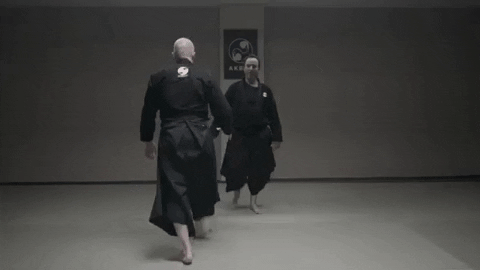Martial Arts Ninjutsu GIF by AKBAN Academy - Find & Share on GIPHY