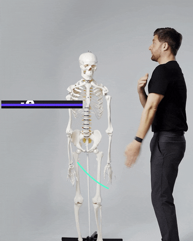 Shoulders Extension GIF by YOGABODY - Find & Share on GIPHY