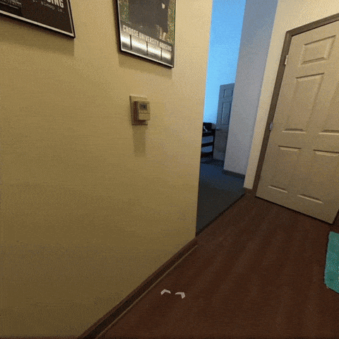 Georgia Southern Gold GIF by Georgia Southern University - Auxiliary ...