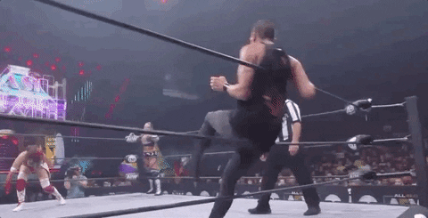 Hikaru Shida Wrestling Match GIF by All Elite Wrestling on TNT - Find ...