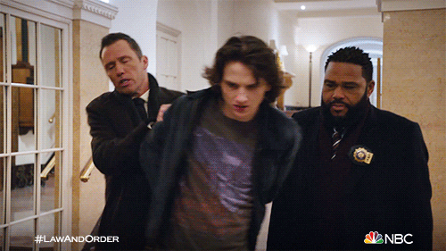 Apprehend GIFs - Get the best GIF on GIPHY