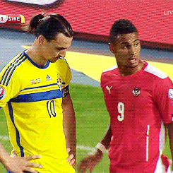 Uefa Euro 2016 GIFs - Get the best GIF on GIPHY