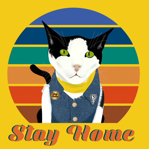 Cats Stay Home GIF by Green Child Magazine - Find & Share on GIPHY