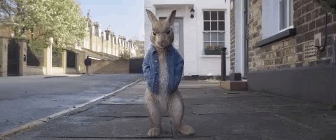Car Walking GIF by Peter Rabbit Movie - Find & Share on GIPHY