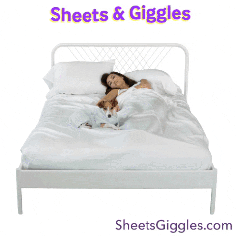 Sheets And Giggles GIFs - Get the best GIF on GIPHY