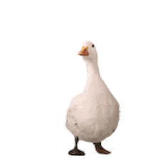 Robert Downey Jr Sticker by Dolittle for iOS & Android | GIPHY