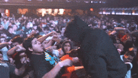 Punk Mosh Pit Gif