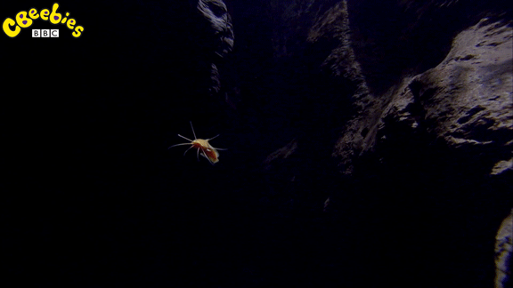 Under The Sea Swimming GIF by CBeebies HQ - Find & Share on GIPHY