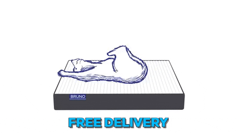 Mattress Box GIFs - Get the best GIF on GIPHY