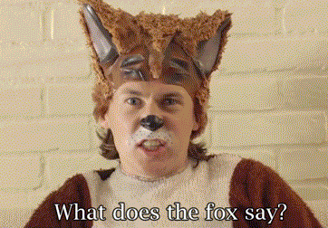 Actual Fox GIFs - Get the best GIF on GIPHY