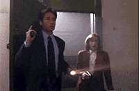 Mulder Gif