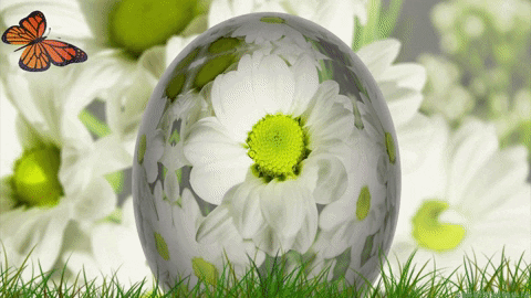 Holy Easter GIFs - Get the best GIF on GIPHY