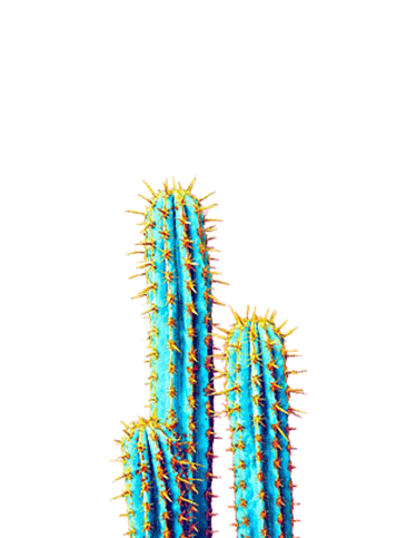 Plant Cactus Sticker by Sebastián Yatra for iOS & Android | GIPHY