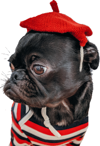 TC-EDV GIFs on GIPHY - Be Animated