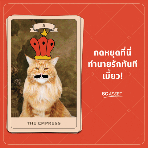 Sc-asset GIFs - Get the best GIF on GIPHY