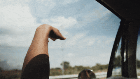 Car Driving GIF by Leo The Kind - Find & Share on GIPHY