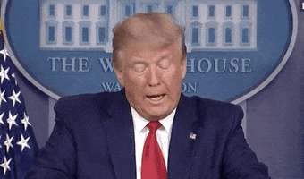 Joe Biden And Pres. Trump Had a 15-Minute Phone Call on COVID-19 by ...