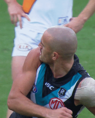 Football Afl GIF by Port Adelaide FC - Find & Share on GIPHY