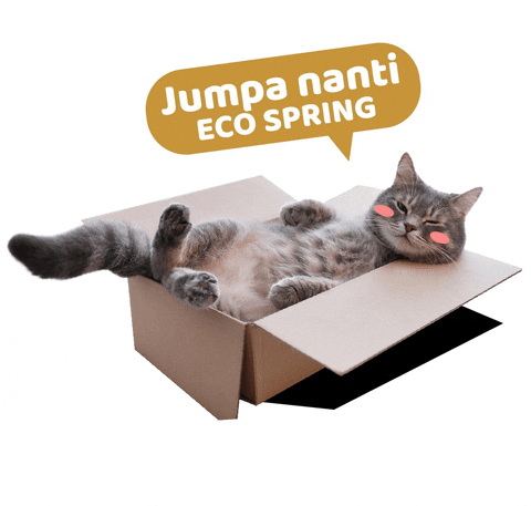 Immunity-kitten GIFs - Get the best GIF on GIPHY