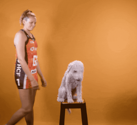Giants Netball Dog GIF by GIANTS - Find & Share on GIPHY