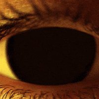 Eyeball Gif