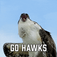 Go-hawks-go GIFs - Get the best GIF on GIPHY